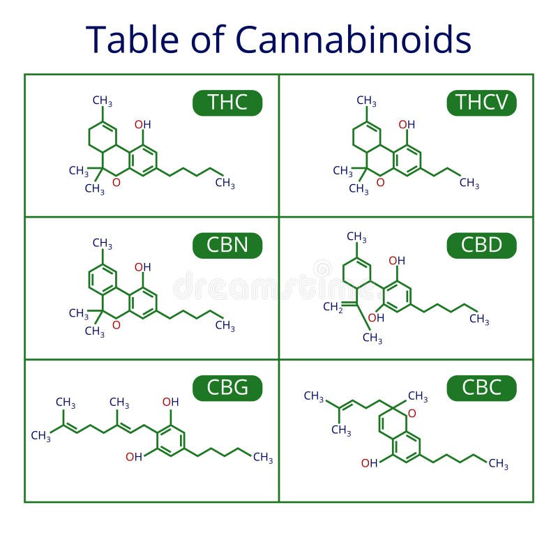 Cannabis Skeletal Cbd Formula. Marijuana Molecules Vector Set Stock ...
