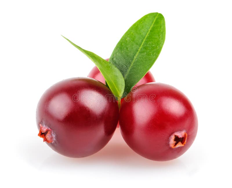 Canneberge rouge image stock. Image du organique, fruits - 23483921