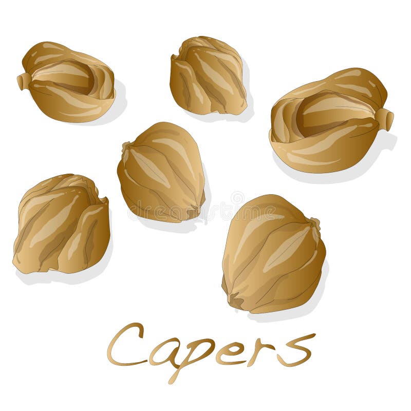 Canned Capers Stock Illustrations – 29 Canned Capers Stock ...