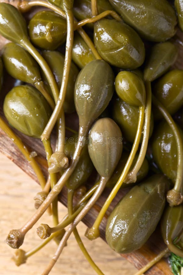 Canned capers with thyme stock photo. Image of closeup - 246469844