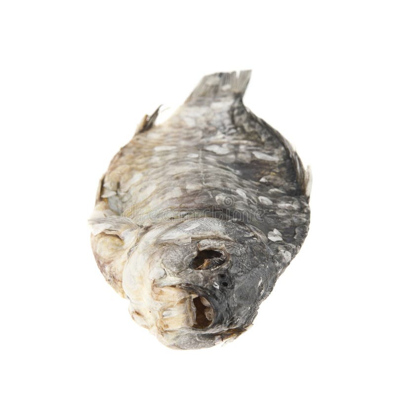 Carp Brine Stock Photos - Free & Royalty-Free Stock Photos from Dreamstime