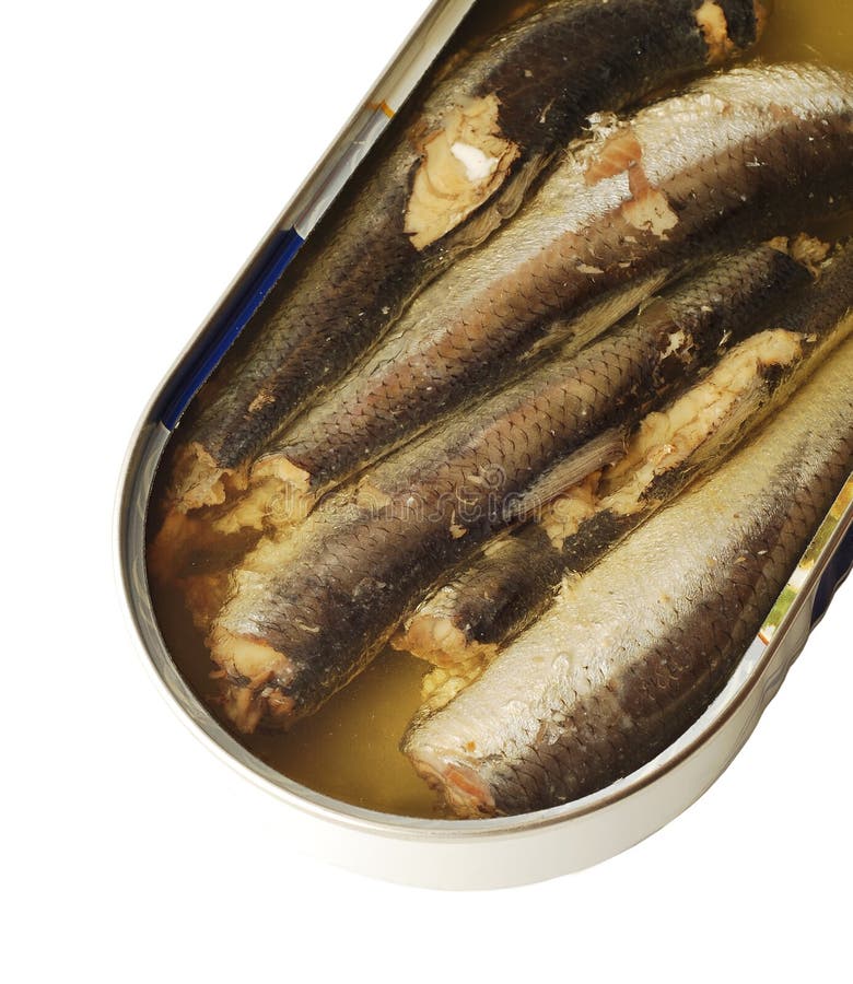 Canned fish stock photo. Image of isolated, sardines - 11275984