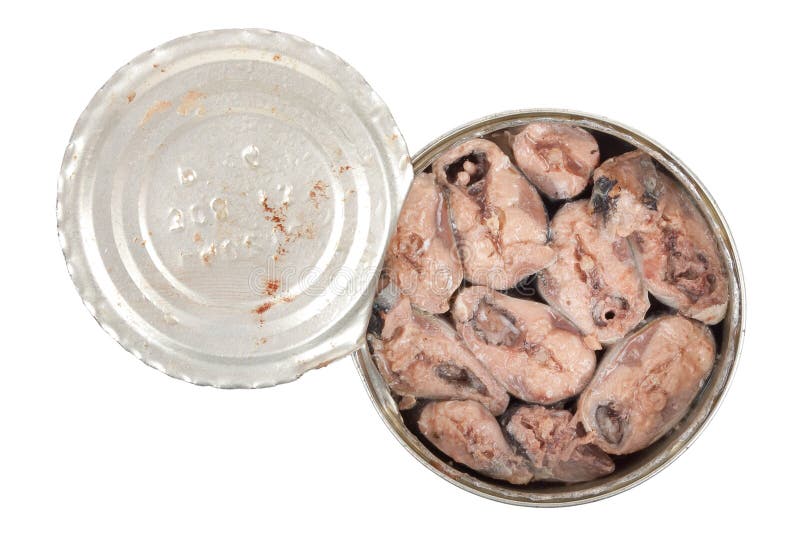 Canned fish stock image. Image of white, canned, meat - 27061001