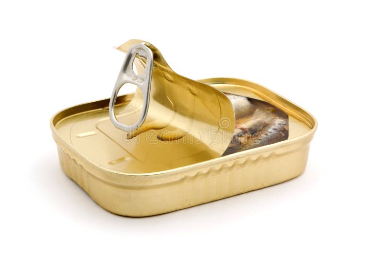 Canned Fish from Finely Chopped Stewed Tuna Fillet Stock Image - Image ...