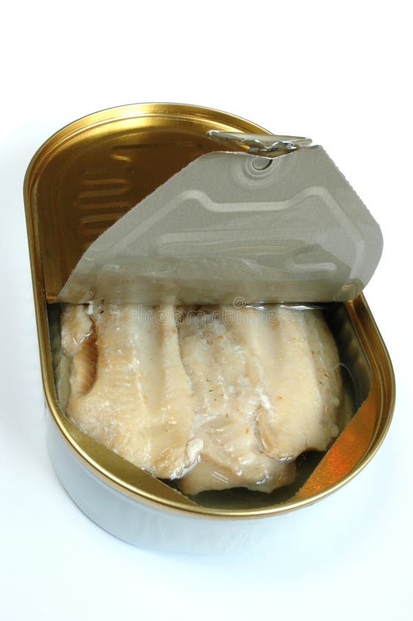 Canned Fish in Tomato Sauce Stock Photo - Image of cylinder, open: 29138314
