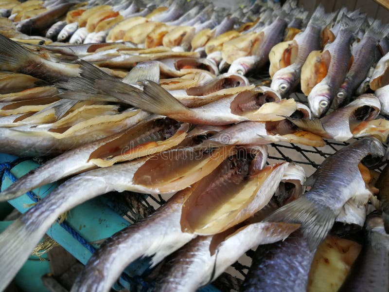 Dry fish stock photo. Image of drying, fish, plate, canned - 124450738