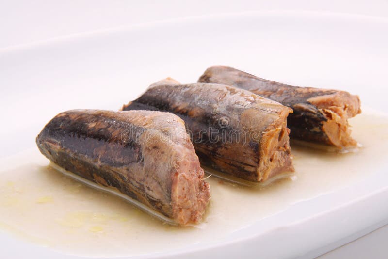 Canned fish in oil stock photo. Image of food, metal - 29138382