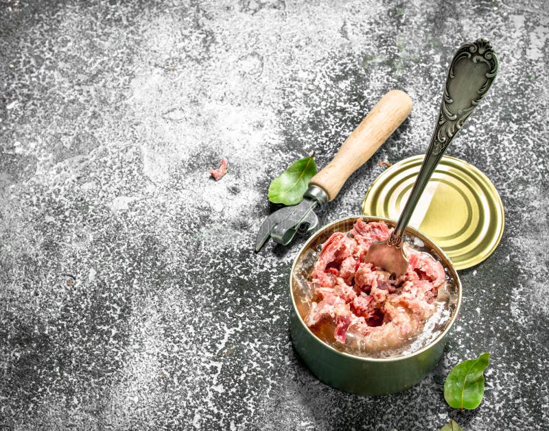 Canned meat in a tin can. stock image. Image of object - 107059971