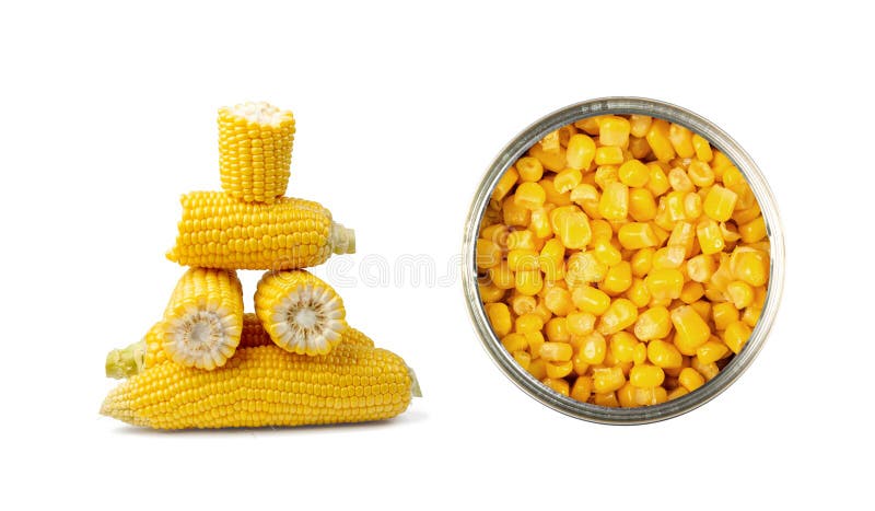 Cooked Corn Kernels in a Tin Can Isolated Top View Stock Photo - Image ...