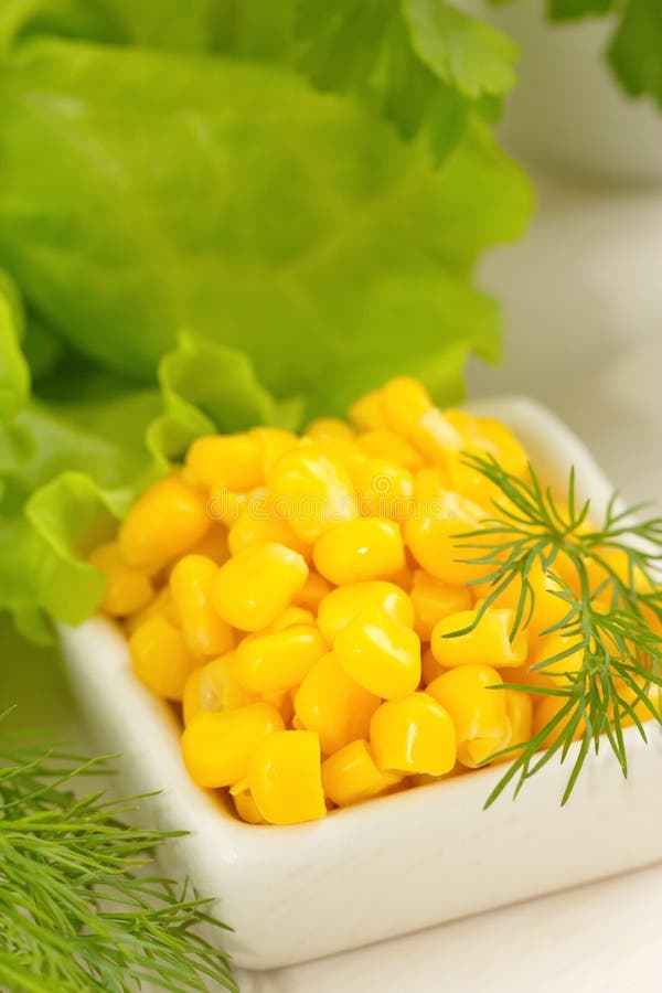 Canned sweet corn stock photo. Image of snack, corn, sweet - 66044046