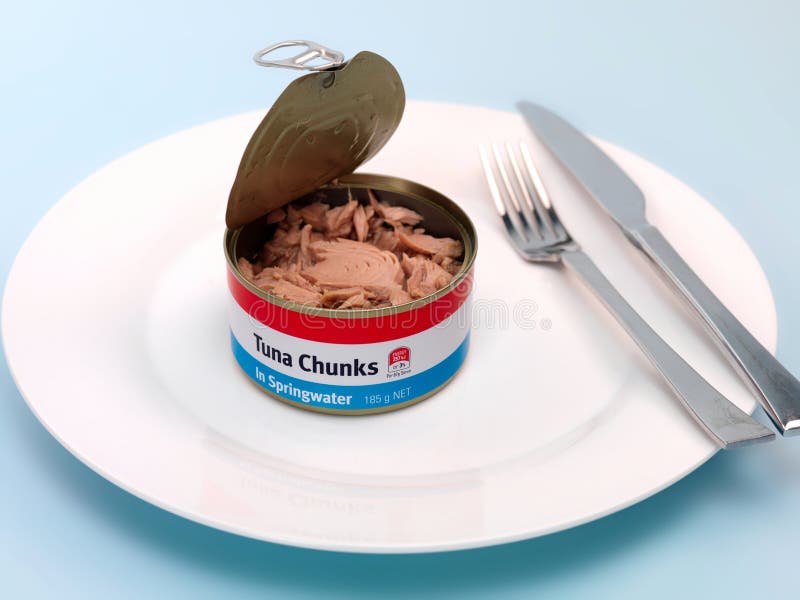 Canned Tuna stock image. Image of tuna, blue, stack, cutout - 14117739
