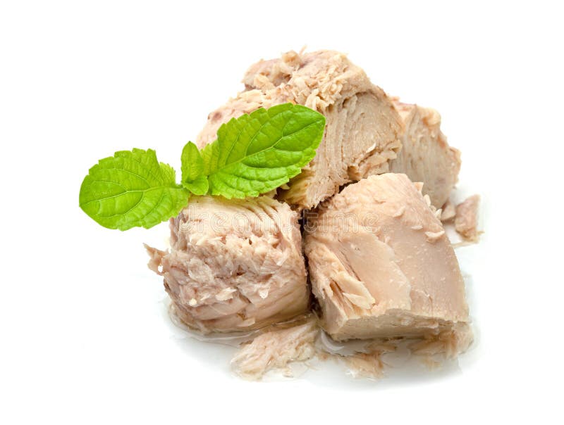 Tuna Chunk stock photo. Image of food, prepare, sandwich - 22092540