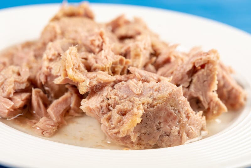 Canned Tuna Fish Slices Served on the White Plate Stock Image - Image ...