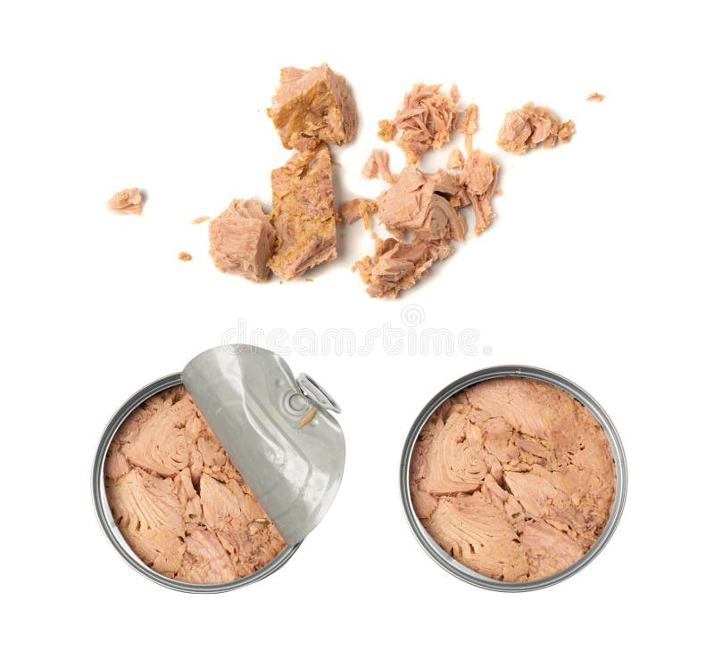Canned Tuna Isolated, Albacore Fish Chunks in Open Tin Can, Tuna Oil ... Canned Tuna Isolated, Albacore Fish Chunks in Open Tin Can, Tuna Oil ...