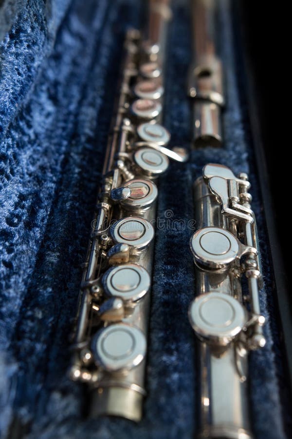 Cannelure Transversale Dans Son Cas Photo stock - Image du traversée ...