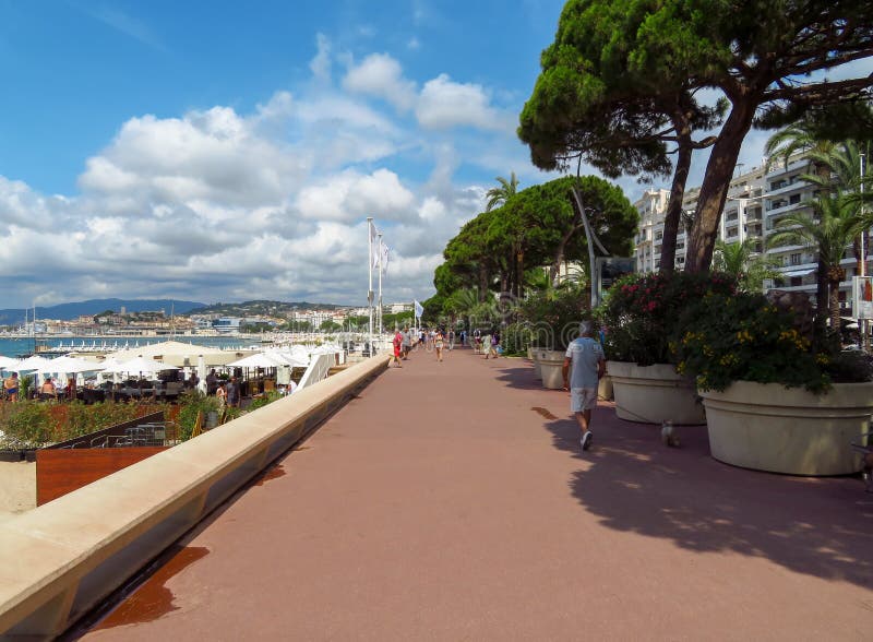 Cannes - Promenade De La Croisette Image stock éditorial - Image du ...