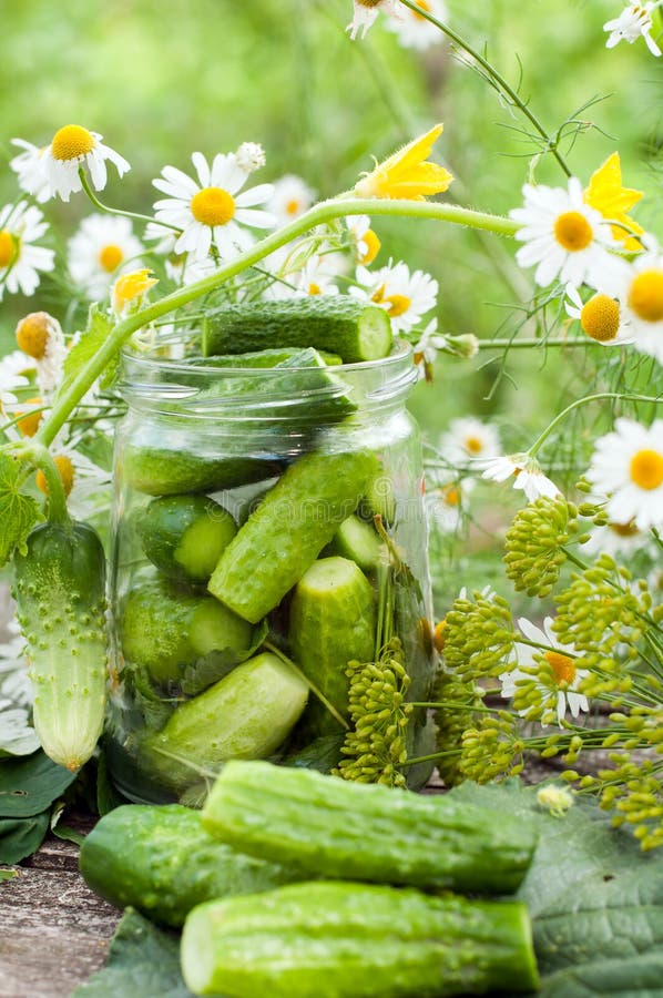 Canning Cucumbers at Homemade Stock Image - Image of homemade, cooking ...