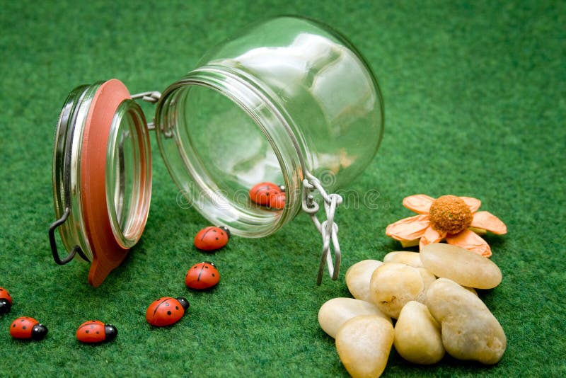 Canning jar with ladybug stock photo. Image of figure - 31893844