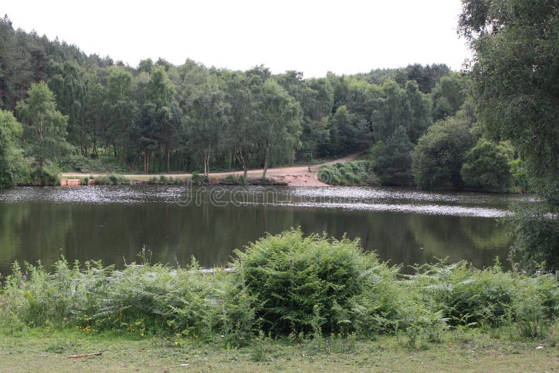 Cannock Chase Beau Desert Golf Course Stock Photo - Image of sunet ...
