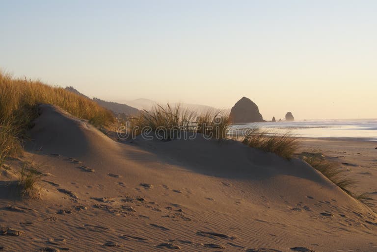 Cannon Beach Sand Dunes stock image. Image of wind, ocean - 7730141