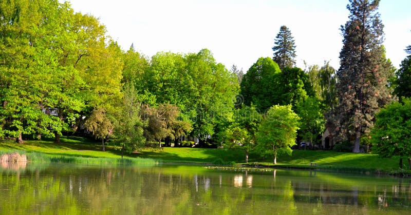 Cannon Park stock photo. Image of cannon, nikon, park - 71527020