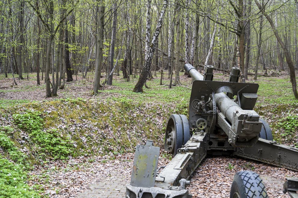 Cannon from the Second World War in Forest on Concrete Base Stock Image ...