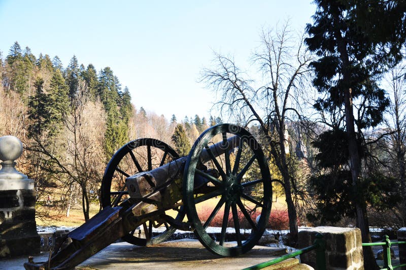 Cannon, Tree, Plant, Wheel stock image. Image of wheel - 125596199