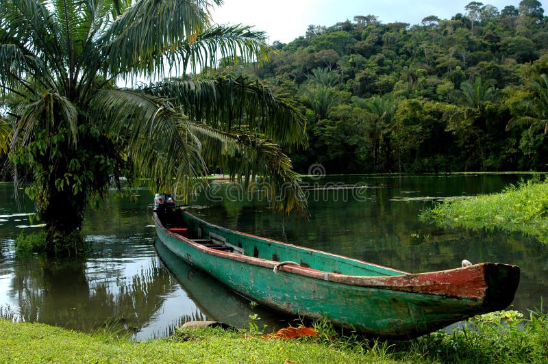 Canoa de la selva tropical foto de archivo. Imagen de bosque - 14007984