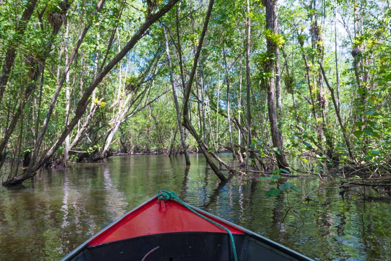 Canoe crossing a river stock image. Image of cape, fishermen - 4355701