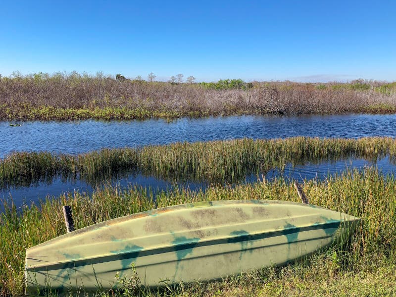 Canoe in the swamp stock image. Image of climate, journey - 107598401