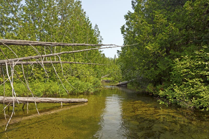Canoe Trail through the Wilderness Stock Photo - Image of waterway ...