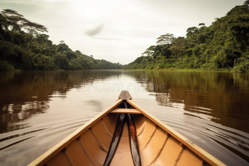 Canoe Trip in the Amazon River. Close Up Shot Stock Illustration ...