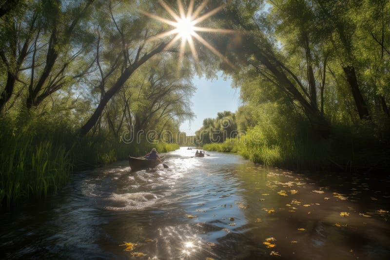 Canoeing Down a Winding River, with the Sun Shining and Birds Chirping ...