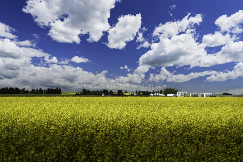 Windy Day Alberta Stock Photos - Free & Royalty-Free Stock Photos from ...