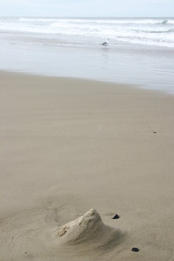Canon beach stock image. Image of rock, sand, beach, background - 13476293