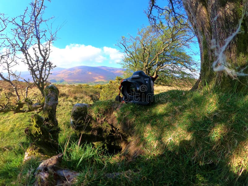 Canon 1DX Camera in the Nature with Trees, Grass and Mountains in ...