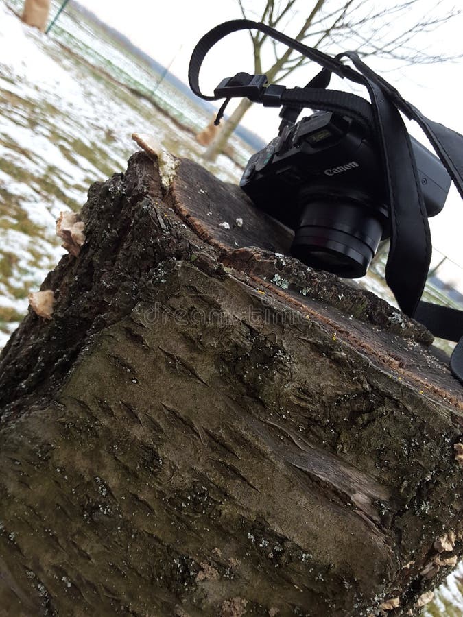 Canon editorial photo. Image of winter, cold, tree, canon - 84585581