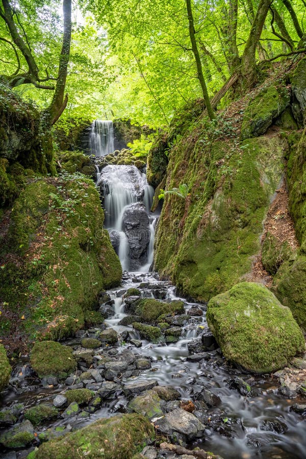 Canonteign falls stock photo. Image of devon, europe - 196107514