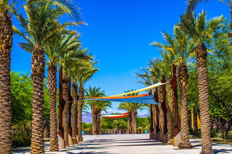 Canopies Over Palm Tree Lined Walkway Stock Image - Image of entrance ...