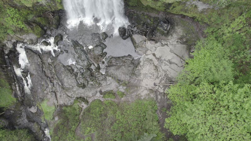 Canopy Cascade: High Angle Aerial View of a Washington Waterfall Stock ...