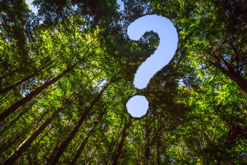 Question Mark Sustainability Stock Photos - Free & Royalty-Free Stock ...