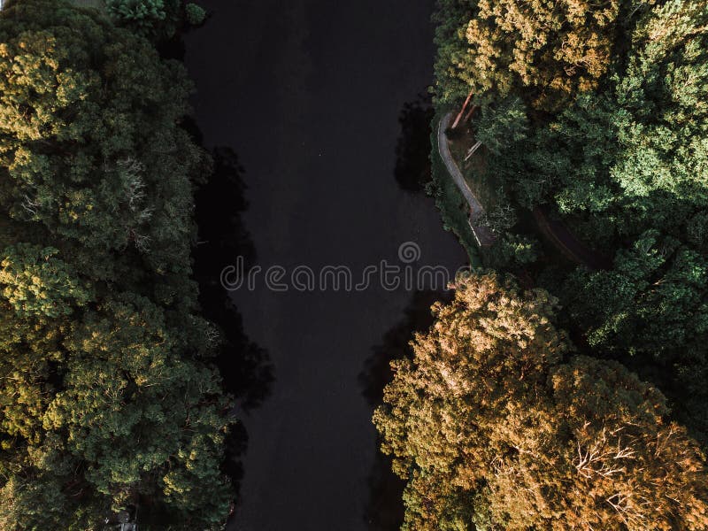 Canopy of Forest Trees and River Water Stock Photo - Image of grass ...