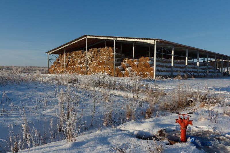Canopy with Hay in Winter. the Hay Stacks Under a Canopy. Winter ...