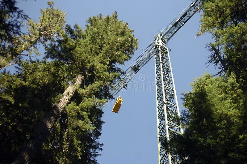 Canopy Research Crane stock photo. Image of america, national - 23847112