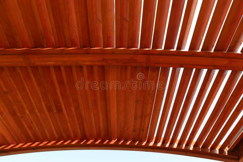 Canopy by the sea stock image. Image of shells, coast - 127654113