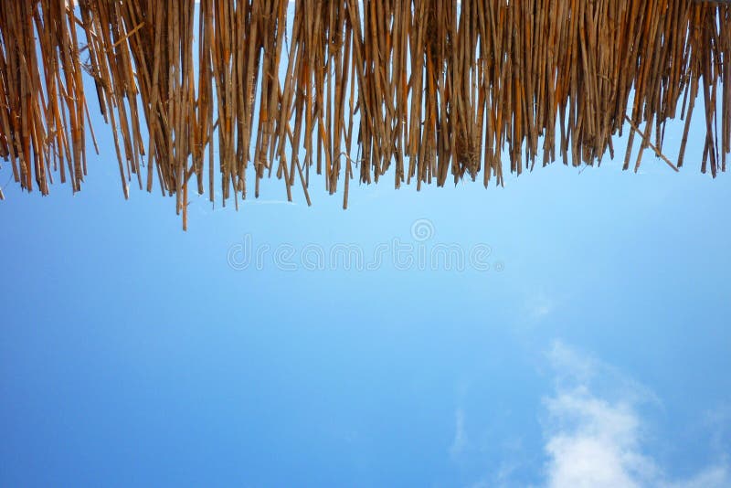 Canopy of straw stock photo. Image of space, logs, activity - 54249830