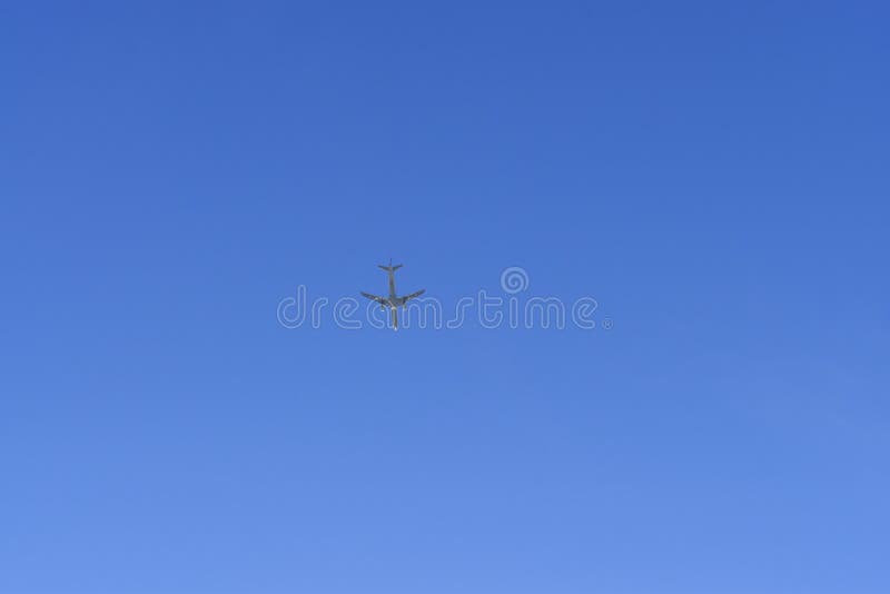 The Canopy Of Tall Trees Framing A Clear Blue Sky, With The Sun Shining ...