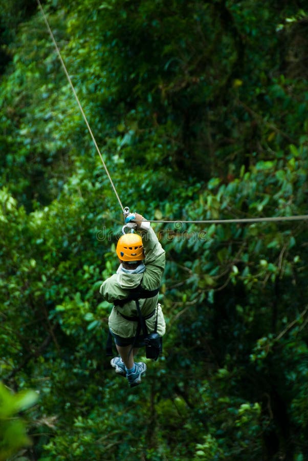 Canopy Tour stock photo. Image of tourist, vegetation - 4244298