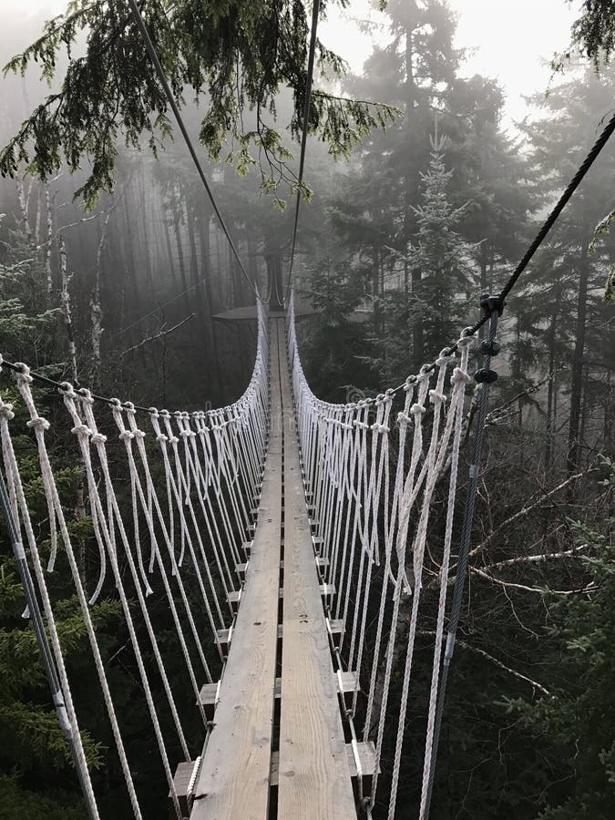 Canopy tour stock image. Image of tour, canopy, blue - 85795251