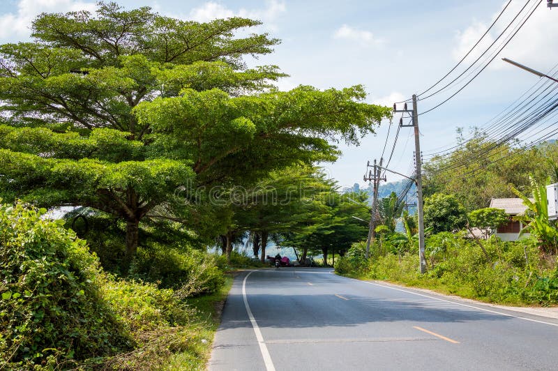 Canopy Trees Over Lonely Road Stock Photos - Free & Royalty-Free Stock ...